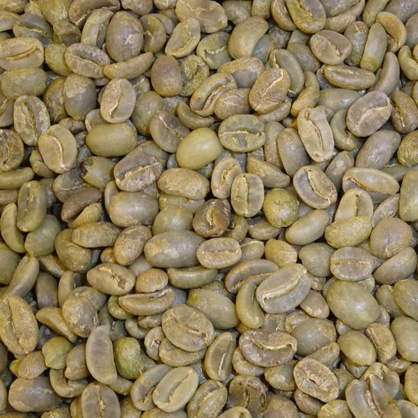 Conventional Brazilian Green Beans-Paineira Rosa – U-Roast-It Coffee